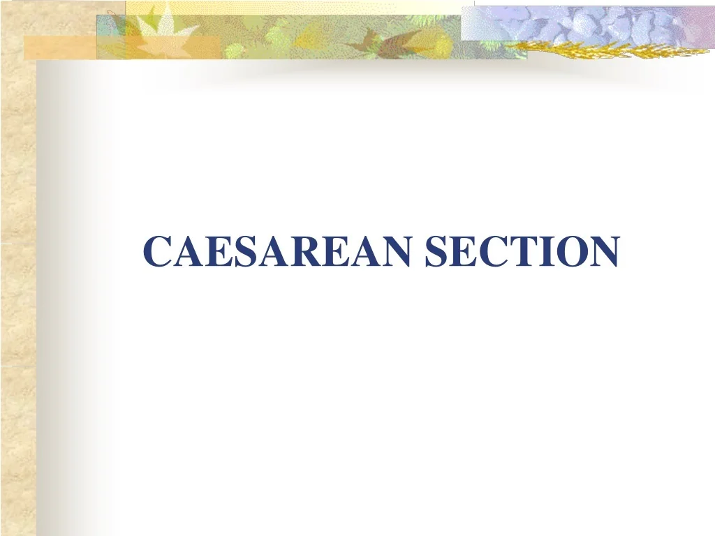 PPT - CAESAREAN SECTION PowerPoint Presentation, free download - ID:9299718