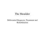 PPT - Orthopaedic special tests for the shoulder PowerPoint ...