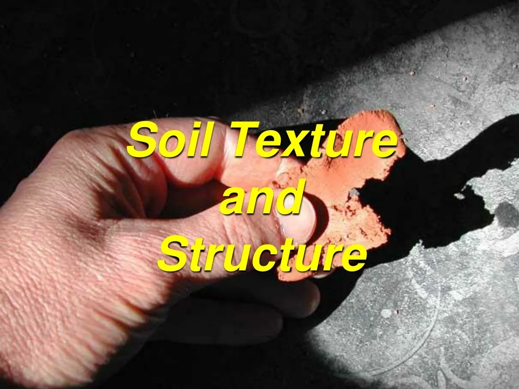 PPT - Soil Texture and Structure: A Comprehensive Guide PowerPoint ...