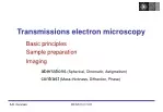 PPT - Introduction to Electron Microscopy PowerPoint Presentation, free ...