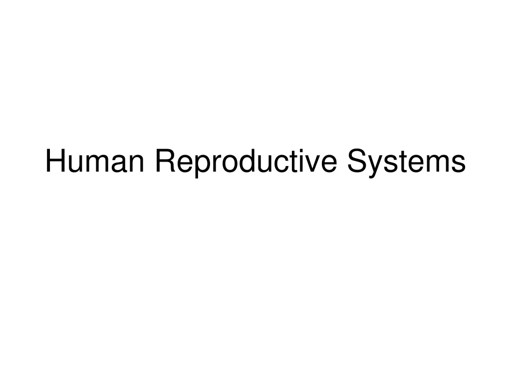 PPT - Human Reproductive Systems PowerPoint Presentation, free download ...