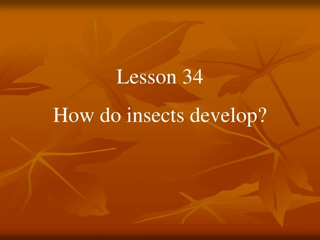 PPT - Insect Development: Metamorphosis Explained PowerPoint ...