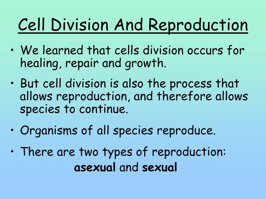 PPT - Cell Division And Reproduction PowerPoint Presentation, free ...