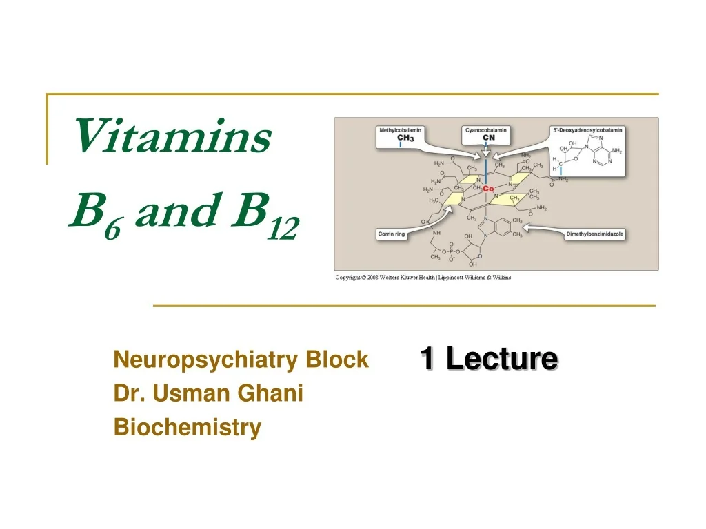 PPT - Vitamins B6 and B12 in Neuropsychiatry: Functions and Deficiency ...