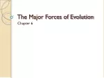 PPT - Forces that Drive Evolution PowerPoint Presentation, free ...