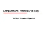 PPT - Computational Chemistry and Molecular Modeling PowerPoint ...