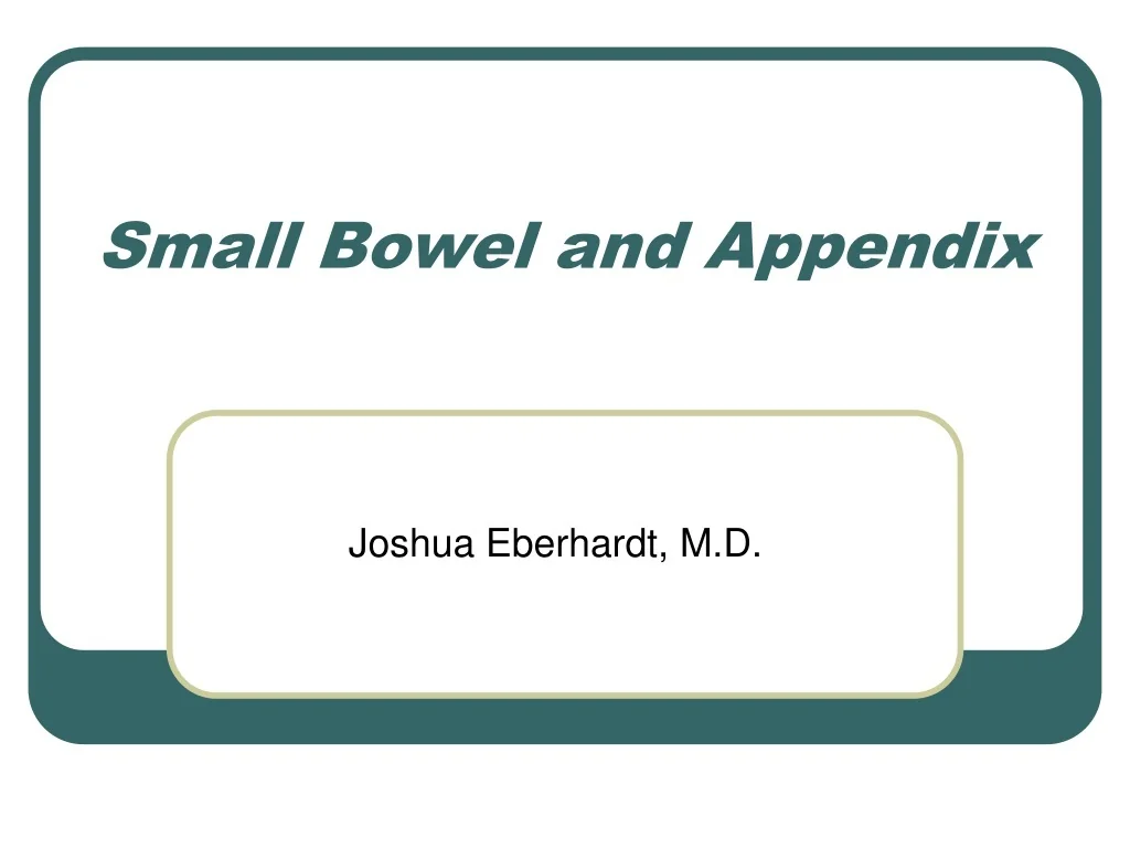 PPT - Small Bowel and Appendix PowerPoint Presentation, free download ...