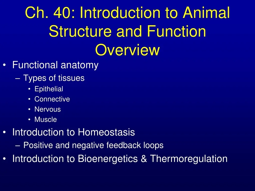 PPT - Animal Structure and Function: Tissues and Homeostasis PowerPoint ...