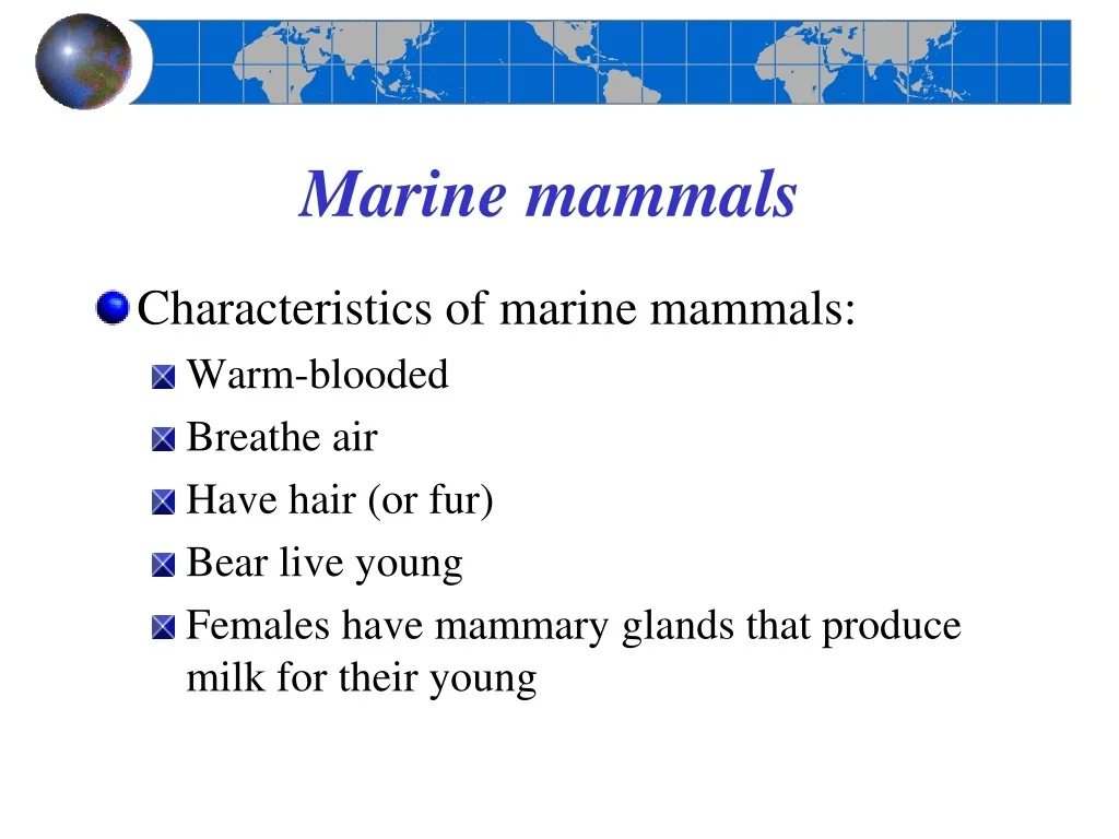 PPT - Marine Mammals: Diversity and Adaptations in Aquatic Life ...