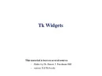 PPT - Tkinter Widgets PowerPoint Presentation, free download - ID:6537477