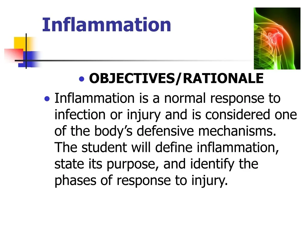 PPT - Inflammation PowerPoint Presentation, free download - ID:9322886