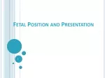 PPT - Lie, Presentation, Position, Attitude and Denominator PowerPoint ...