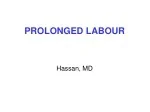 PPT - PROLONGED LABOUR PowerPoint Presentation, free download - ID:3732196