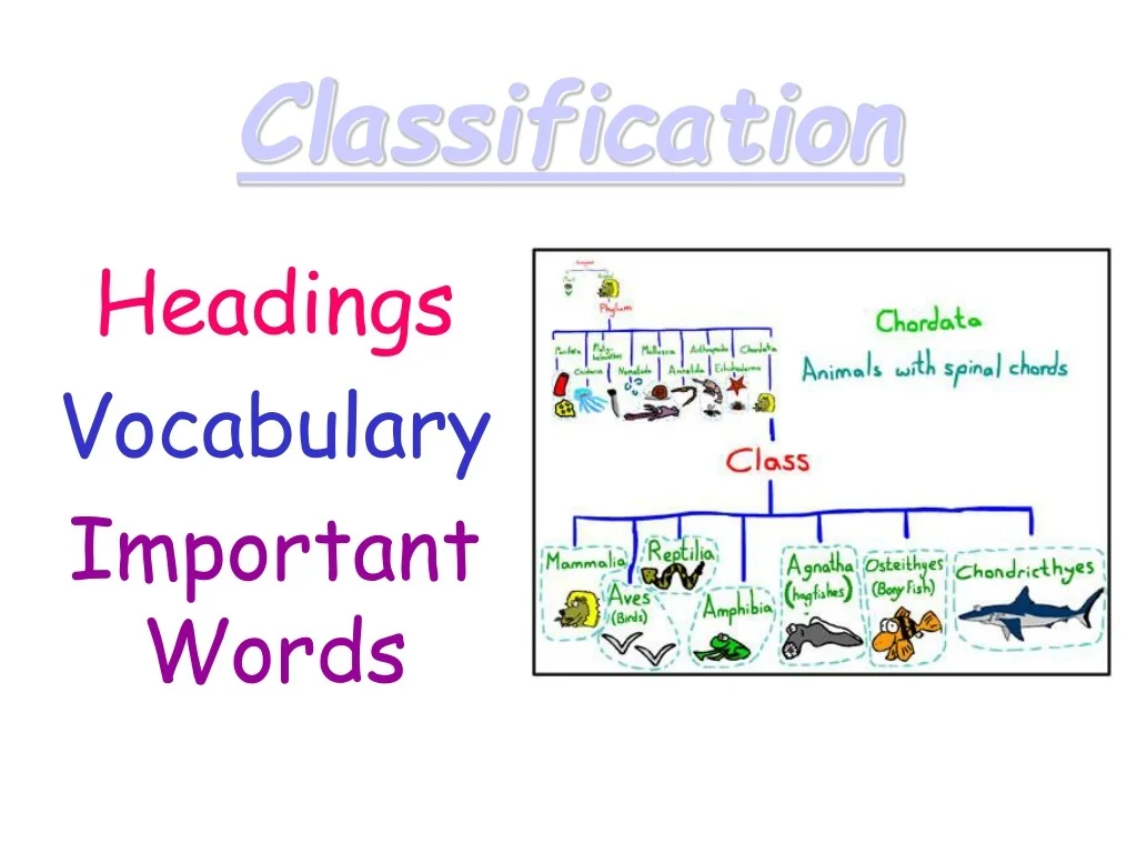 PPT - Evolutionary Classification and Taxonomy System: A Comprehensive ...