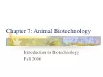 PPT - Animal Biotechnology PowerPoint Presentation, free download - ID ...