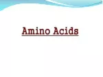 PPT - Amino Acids PowerPoint Presentation, free download - ID:6949489
