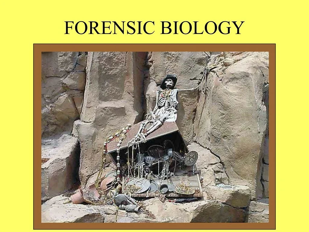 PPT - FORENSIC BIOLOGY PowerPoint Presentation, free download - ID:9328321