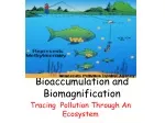 PPT - BIOACCUMULATION PowerPoint Presentation, free download - ID:181796