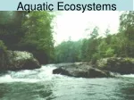 PPT - Lesson 6.3 Aquatic Ecosystems PowerPoint Presentation, free ...