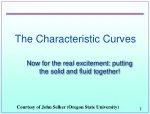 PPT - The Characteristic Curves PowerPoint Presentation, free download ...