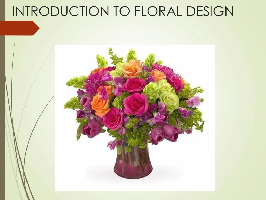 PPT - Floral Design Fundamentals and Plant Classification Guide ...
