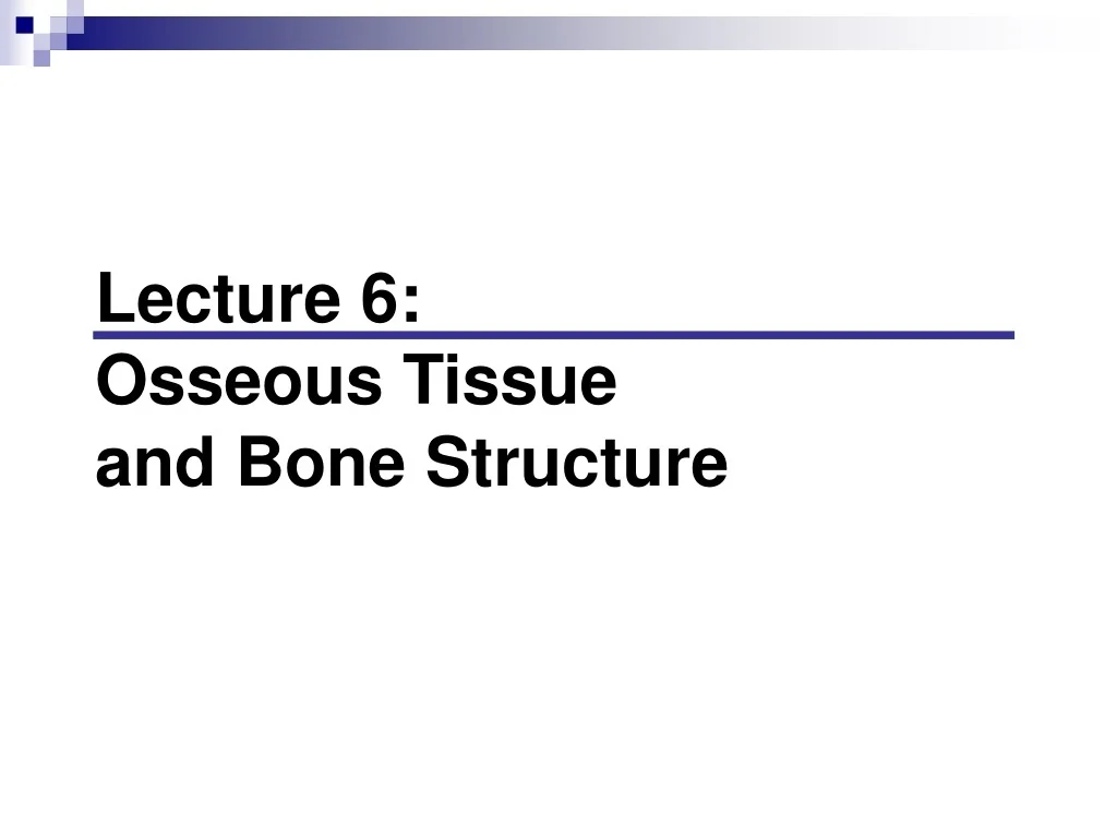 PPT - Lecture 6: Osseous Tissue and Bone Structure PowerPoint ...