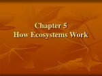 PPT - CHAPTER 5 HOW ECOSYSTEMS WORK PowerPoint Presentation, free ...