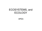 PPT - Ecology, Ecosystems, and the Environment PowerPoint Presentation ...
