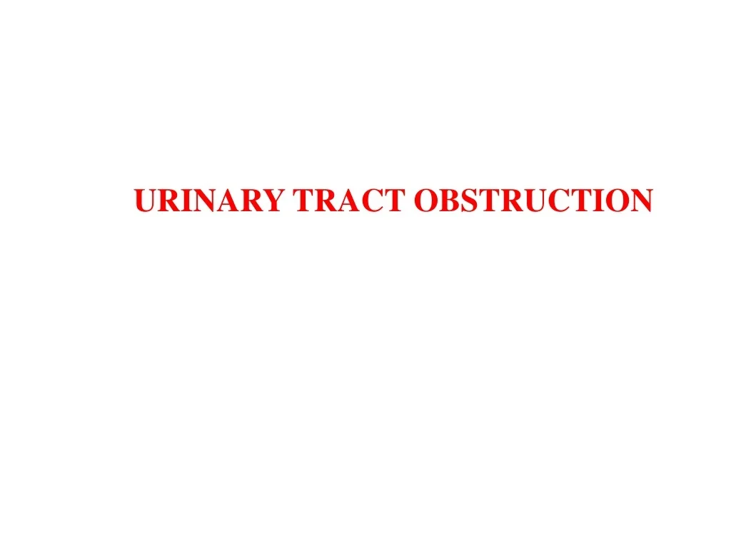 PPT - Urinary Tract Obstruction Classification PowerPoint Presentation ...