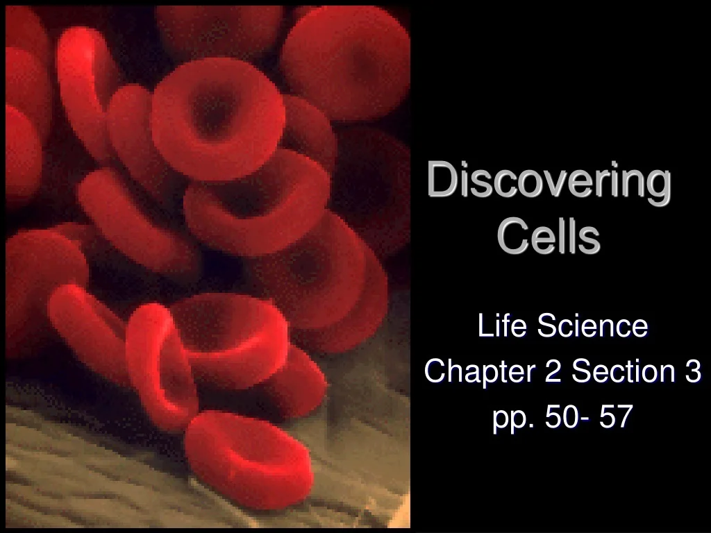 PPT - Exploring the World of Cells: A Journey Through Microscopy and ...