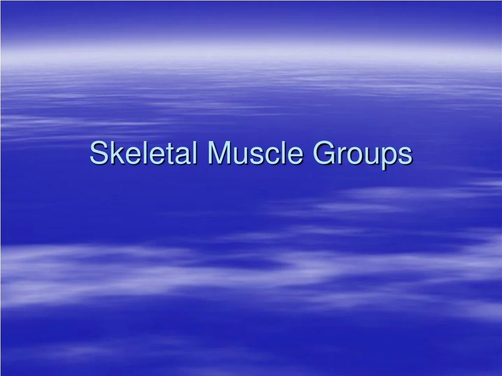 PPT - Complete Guide: Human Muscle Groups and Movements PowerPoint ...