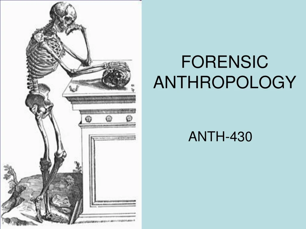 PPT - Discovery through Decay: Forensic Anthropology Course Exploration ...