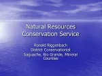 PPT - Conservation of Resources Theory PowerPoint Presentation, free ...