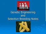 PPT - Chapter 15- Genetic Engineering 15.1 Selective Breeding ...