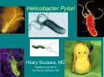 PPT - H PYLORI PowerPoint Presentation, free download - ID:684783