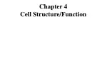 PPT - Chapter 4 Section 2 Cell Structure and Function PowerPoint Presentation - ID:5969369