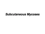 PPT - Superficial mycoses PowerPoint Presentation, free download - ID ...