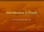 PPT - Introduction to Plants PowerPoint Presentation, free download ...