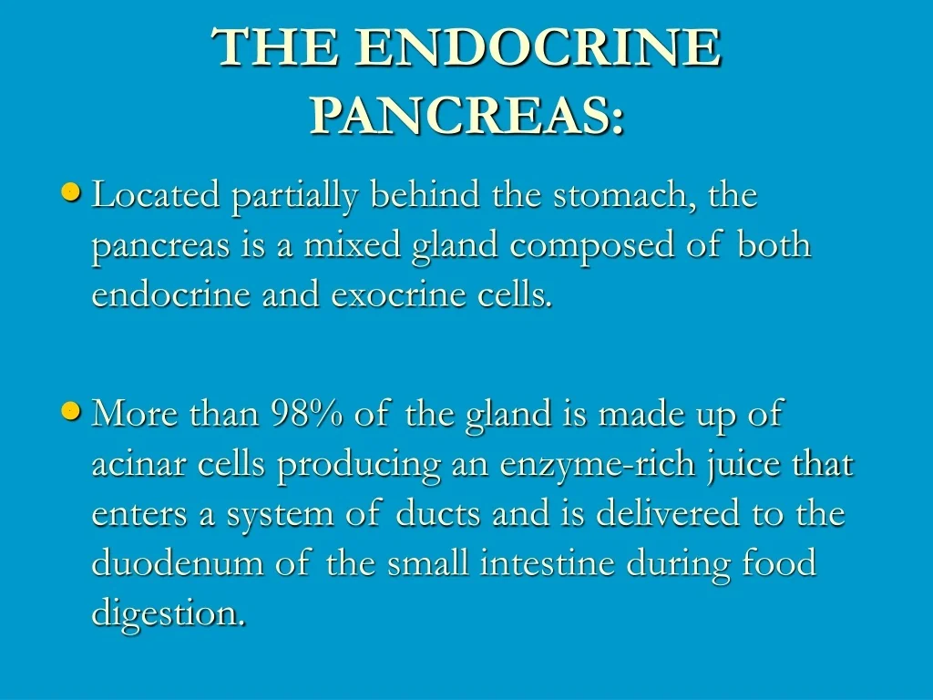 PPT - THE ENDOCRINE PANCREAS: PowerPoint Presentation, free download ...