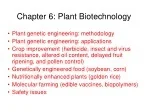 PPT - Plant Biotechnology PowerPoint Presentation, free download - ID:87777