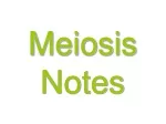 PPT - Meiosis Guided Notes PowerPoint Presentation, free download - ID ...