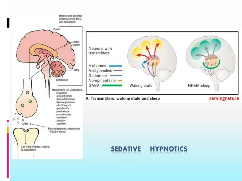 PPT - Sedative Hypnotics: Classification, Mechanism, and Side Effects ...