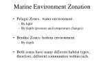 PPT - The marine environment PowerPoint Presentation, free download ...