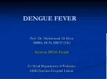PPT - Dengue Fever PowerPoint Presentation, free download - ID:3414480