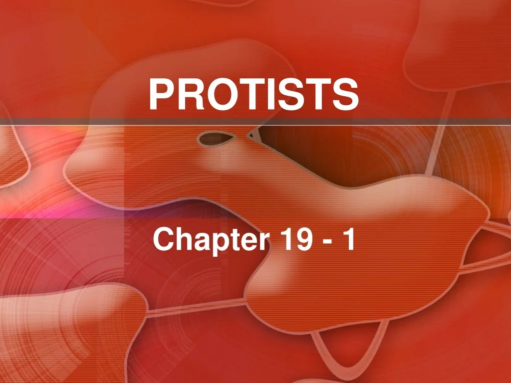 Ppt Protists Powerpoint Presentation Free Download Id 9354263