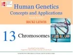 PPT - Cytogenetics PowerPoint Presentation, free download - ID:4991713