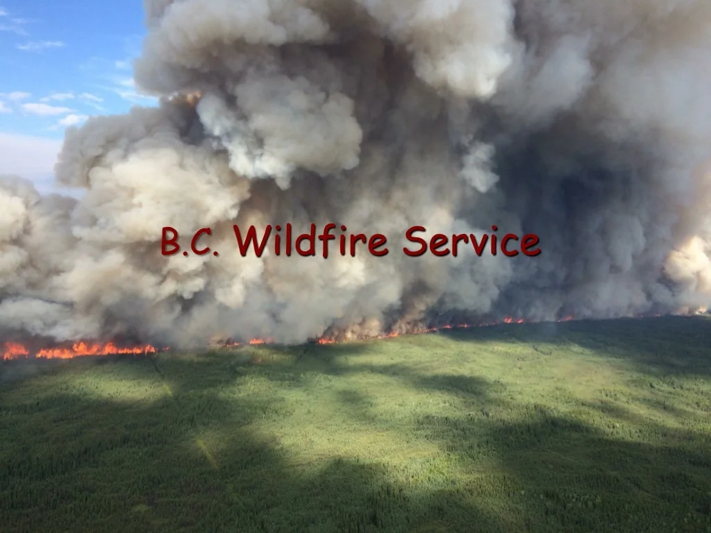 PPT - B.C. Wildfire Service PowerPoint Presentation, free download - ID ...