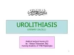 PPT - UROLITHIASIS PowerPoint Presentation, free download - ID:2241594