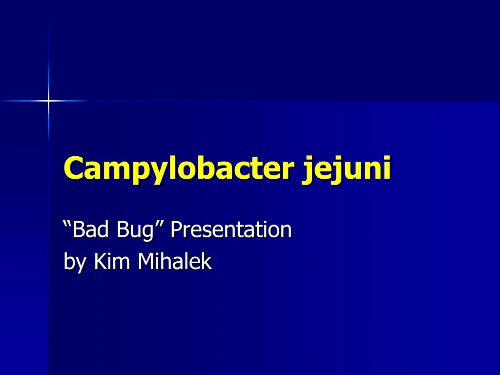 PPT - Campylobacter jejuni: The Bad Bug Presentation PowerPoint ...