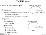 PPT - RNA World PowerPoint Presentation, free download - ID:6524270